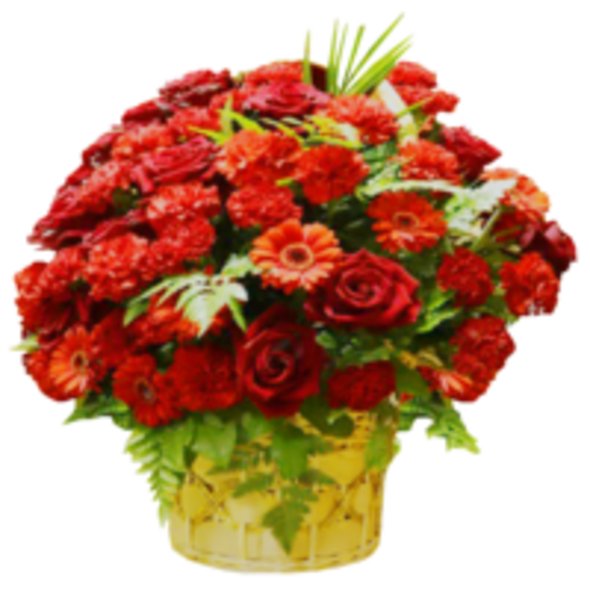 Kevin Morgan's (venkishop24) software portfolio | Devpost