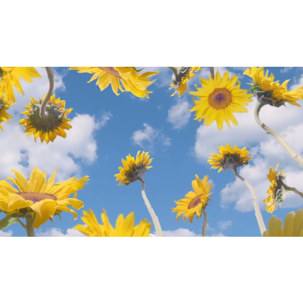 Jeremy Su's (jeremysu64) software portfolio | Devpost