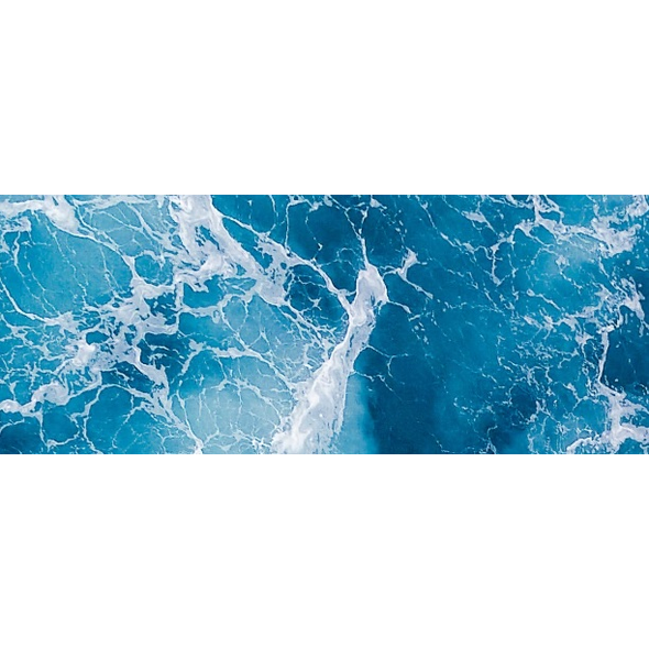 Better You Rx's (betterbenext) software portfolio | Devpost