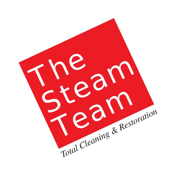 The Steam Team's (thesteamteam) software portfolio | Devpost