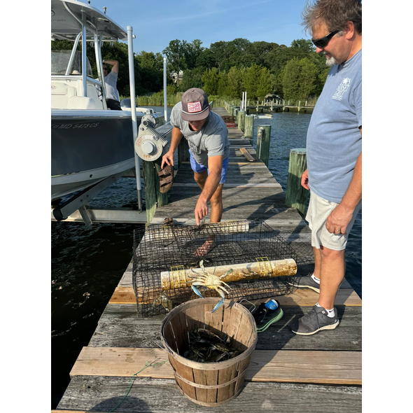 Jake DiBatttista's (Jakedibattista) software portfolio | Devpost