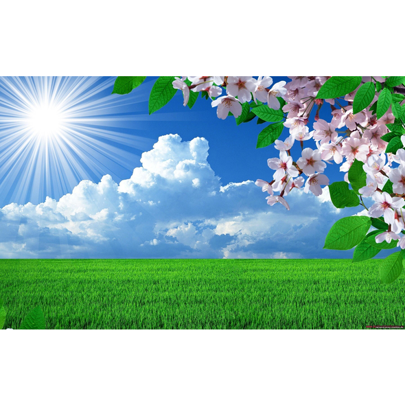 Johann P's (engine4180) software portfolio | Devpost