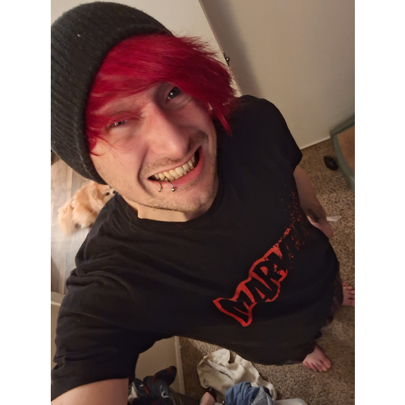 Dustin Smith's (DizzyDKing) software portfolio | Devpost