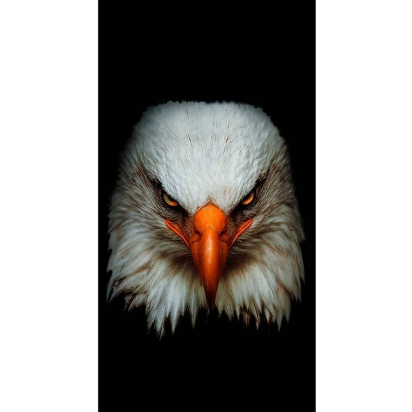 Tadiwanashe Mbendana's (mbendanatadiwanashe) software portfolio | Devpost