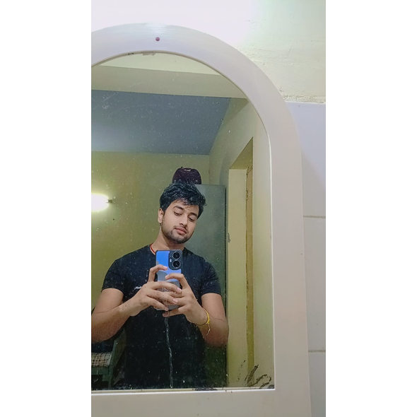 Pratik Jaiswal's (pratik2643) software portfolio | Devpost