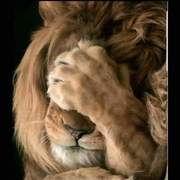 Kelechukwu Izuaba's (Lion_sin_Escanor) software portfolio | Devpost