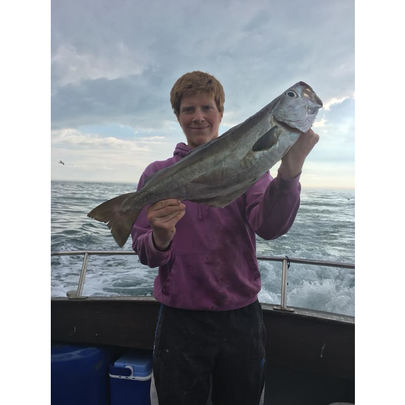 Devon Kisner's (devonkisner) software portfolio | Devpost